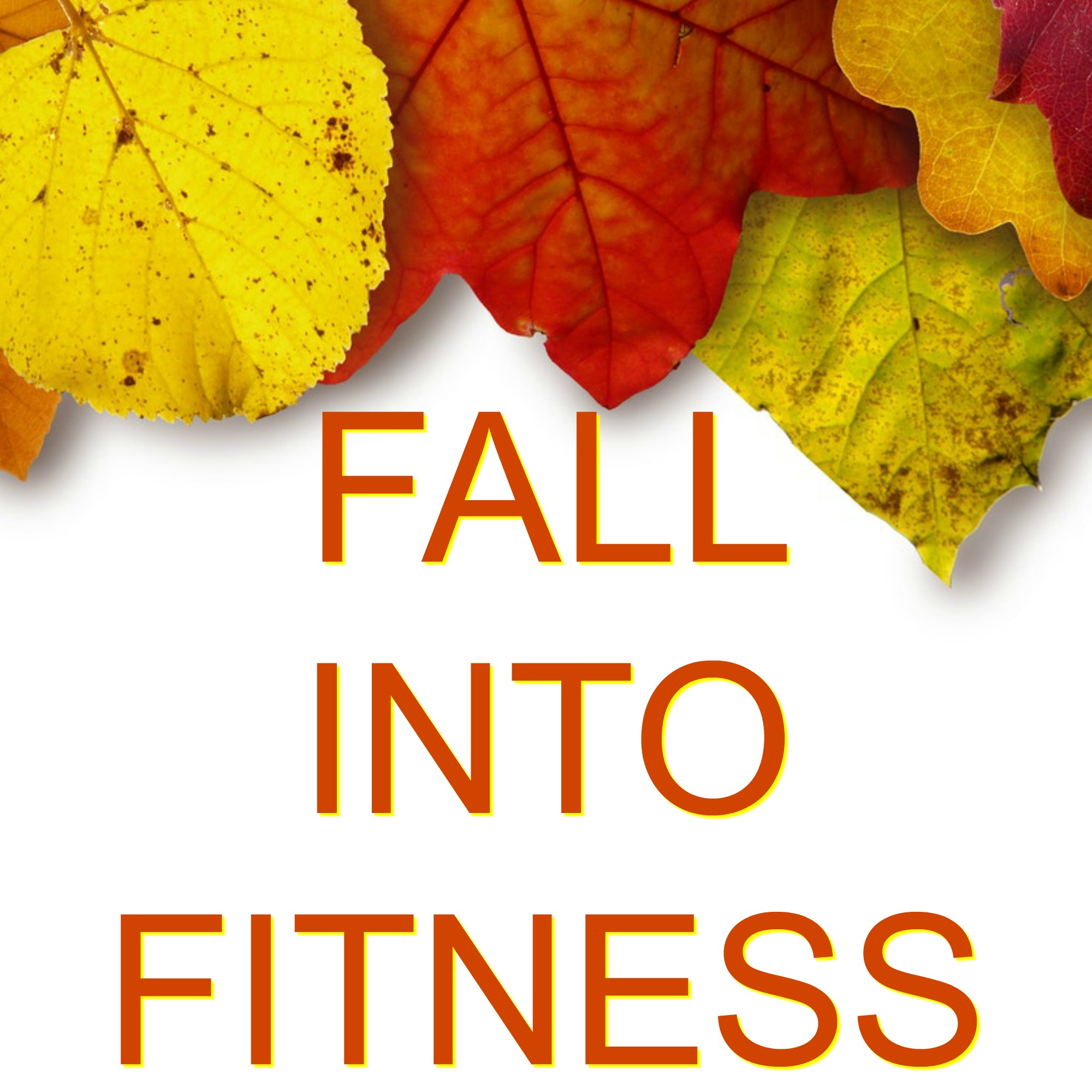 Bristol Total Fitness November 2019 - Total Fitness - Massachusetts and ...